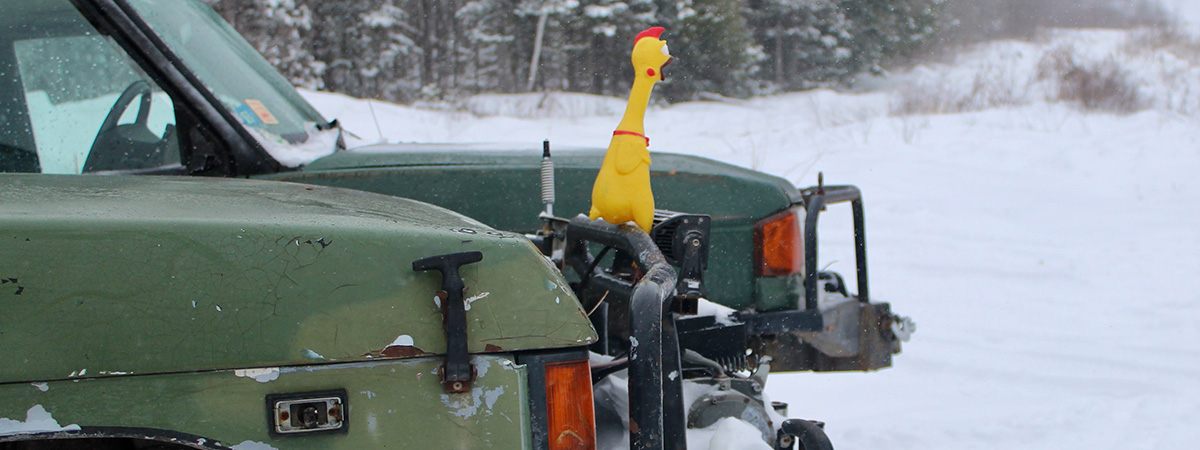 Winter Romp 2025: Highlights From Maine